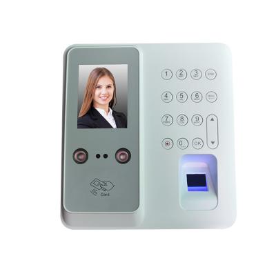 China TMF610 Face Recognition Attendance Machine 1000 Face 5000 Fingerprint for sale