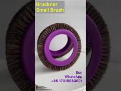 Cabelo de nylon preto do corpo plástico do roxo da roda de escova pequena das peças da máquina de Bruckner Stenter