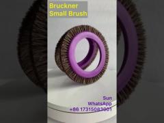 Cabelo de nylon preto do corpo plástico do roxo da roda de escova pequena das peças da máquina de Bruckner Stenter