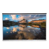 China 350Cd/m2 High Brightness LCD Display 10 Inch LCD Screen for sale