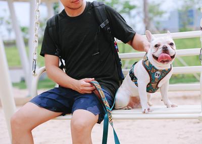 China Large Dog Walking Harness Vest For Car And Walking 32cm To 40cm Neck for sale