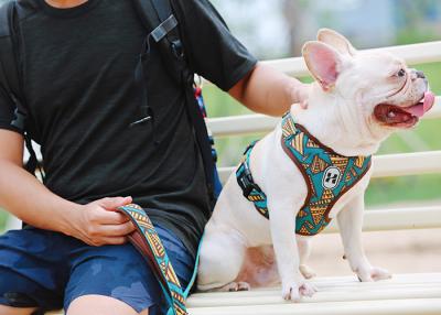 China Large Dog Walking Harness Vest For Car And Walking 32cm To 40cm Neck for sale