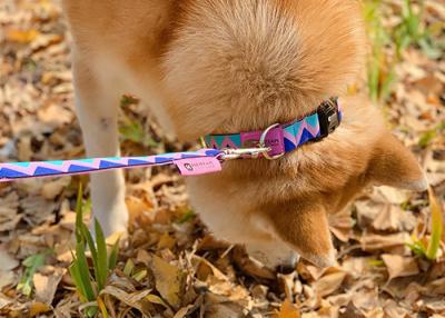 China Regelbare Hond het Lopen Kragen en Leibanden Pasgeboren het Puppykraag van het Regenboogmeisje Te koop