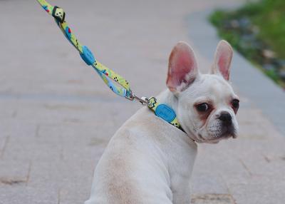 Cina guinzaglio del cane di sublimazione di 30m in vendita