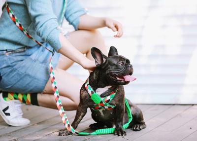 Cina Trasferimento di calore Lanyard Tech dell'imbracatura per cani di sublimazione riempito neoprene di nylon in vendita