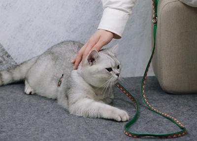 China Christmas Xs Small Kitten Harness And Leash Green Red Nylon Strap for sale