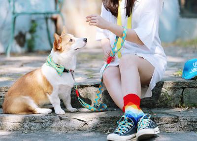 Cina Cani medi di Bowtie Sublimation Printing For Small del cane di ringraziamento di natale di festa in vendita