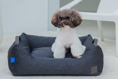 Cina Il letto lavabile lanuginoso del cane della macchina durevole per i piccoli cani impermeabilizza all'aperto in vendita