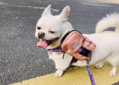 Cina Cablaggio sveglio dello zaino del cane per l'escursione della borsa all'aperto con il guinzaglio X piccolo in vendita