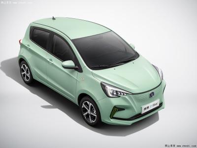 Cina E-stella astuta di Mini Electric Car Hatchback Changan Benben di 5 sedili della porta 5 in vendita