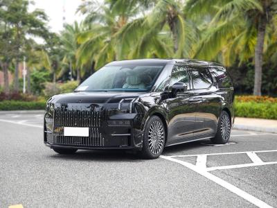 Cina Automobile elettrica delle automobili di MPV EV dei veicoli di lusso 6 Seater di Zeekr 009 New Energy in vendita