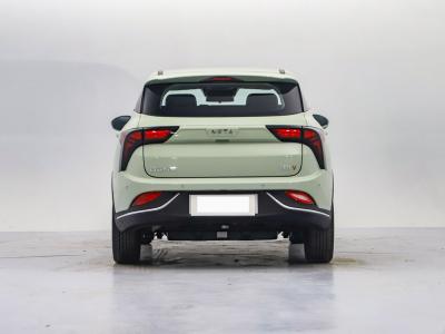 Cina Ciano SUV automobili elettrica di NETA V motore elettrico compatto di 401KM - di 301KM adatto in vendita