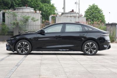 Cina Automobile elettrica durevole 5 Seater di Seat SUV dell'automobile elettrica 4 della guarnizione di 550KM BYD in vendita