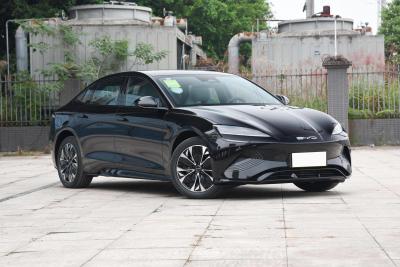 Cina Automobile elettrica durevole 5 Seater di Seat SUV dell'automobile elettrica 4 della guarnizione di 550KM BYD in vendita