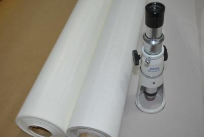 China Ceramic Printing Screen Printing Mesh Roll Fabricmesh Roll 27-40 Micron for sale