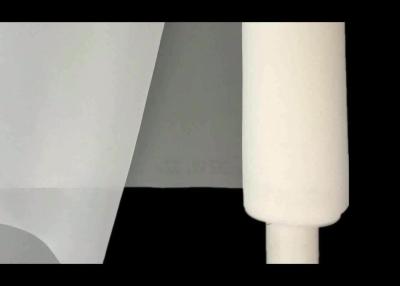 Cina poliestere riutilizzabile 100% del rotolo della maglia della matrice per serigrafia dei tessuti di larghezza di 165T 165MM in vendita
