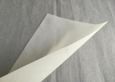 Cina Maglia di nylon del monofilamento del commestibile JPP 120T-40W 40 micron in vendita