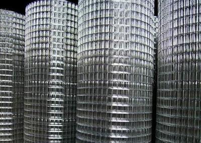 中国 12x12角目の防腐剤のステンレス鋼の金網 販売のため