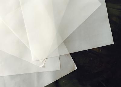 China Food Grade Polyester Filter Mesh Piece Round Square Annular Shape for sale