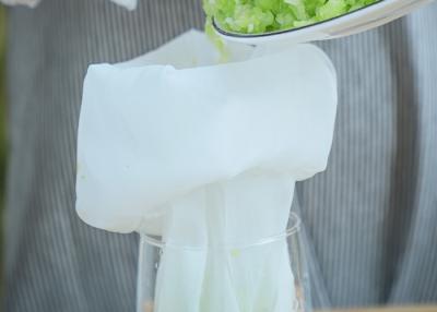 China Filter Milk 25x15cm Nylon Mesh Filter Bags With String for sale