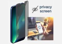 China Ailun 2Pack Privacy Tempered Glass Screen Protector For IPhone 13 Pro Max for sale