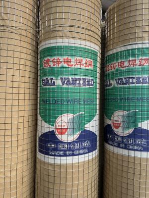 China Direktlieferung von galvanisierten Eisendrahtgittern mit individuellen Größen und Polyurethanbeschichtung zu verkaufen