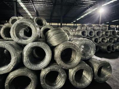 Cina Galvanizzato a caldo con stagno di alta resistenza allo spessore di 0,3 mm in vendita