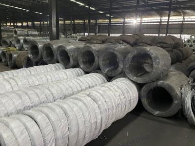 Cina Galvanizzato a caldo con stagno di alta resistenza allo spessore di 0,3 mm in vendita