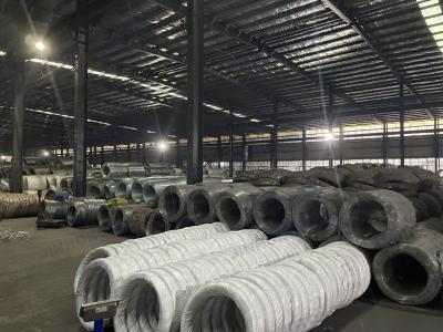 Cina Galvanizzato a caldo con stagno di alta resistenza allo spessore di 0,3 mm in vendita