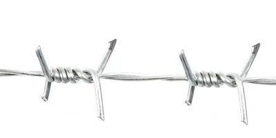 China 1.4mm-2.6mm Cross Razor Galvanized Barbed Wire Farm Fence 500M 20Kg Per Roll Razor Type Wire Gauge 1.4mm-2.6mm for sale