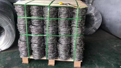 Cina Galvanizzato filo spinato di filo spinato tipo rasoio a croce vendita al dettaglio per rotolo peso per metro 50 kg in vendita