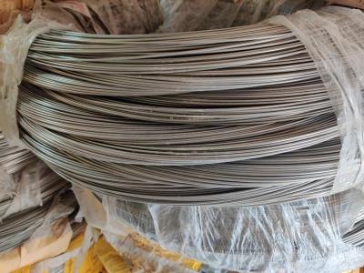 Cina Qualità garantita Alta resistenza alla corrosione Aisi 304 Stainless Steel Wire Rods Gold Plated Stainless Steel Wire in vendita