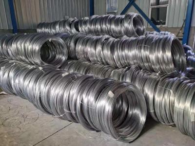Cina Cintura di acciaio inossidabile 304 316 201 409 904L in vendita