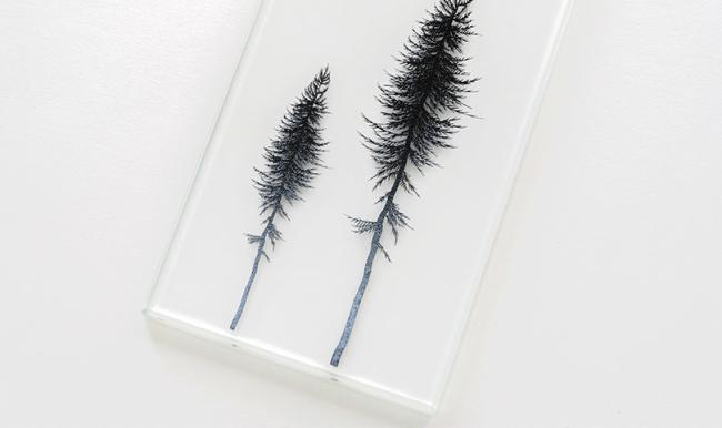 New Toughened/Tempered Silk-Printed Glass with Edge Grinding/Pattern
