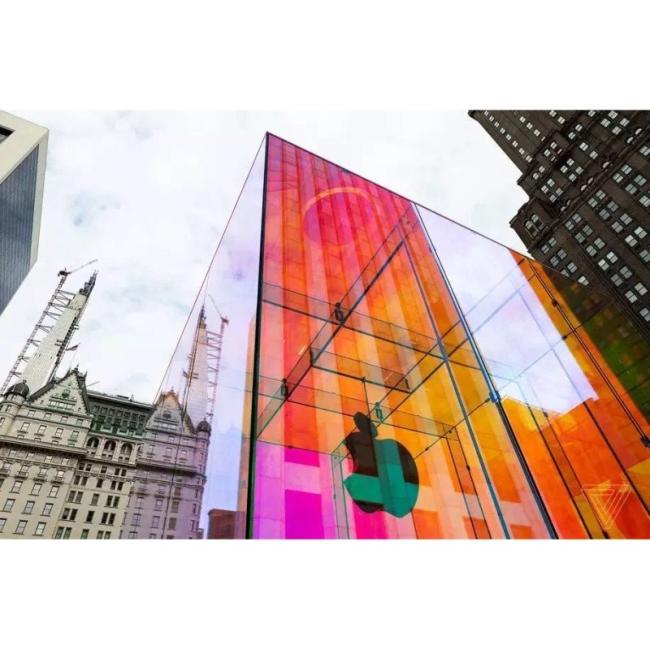 Gray Reflective Tinted Float Glass 5mm Tinted Glass Smoke Gray Tempered Glass Building Glass in Tempered