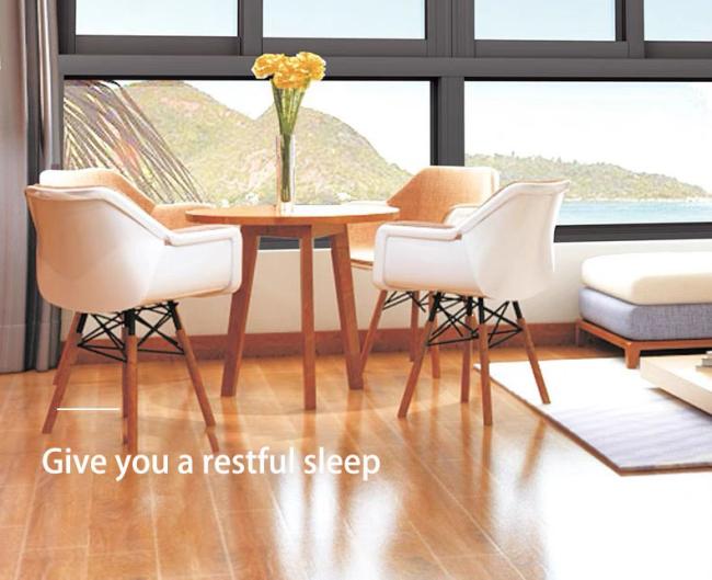 Vacuum Double Glazed Insulated Glass Panel for Windows