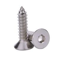 China CSK Head Hex Slot Self Tapping for sale