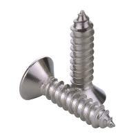 China CSK Head Hex Slot Self Tapping for sale