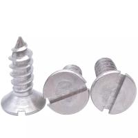 China Slotted Countersunk (Flat) Head for sale