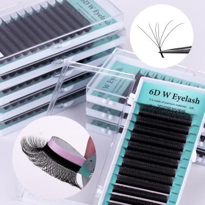 China 6D 8-15MM D Curl Volume Eyelashes Extension Trays Custom DIY Packaging Private Label for sale