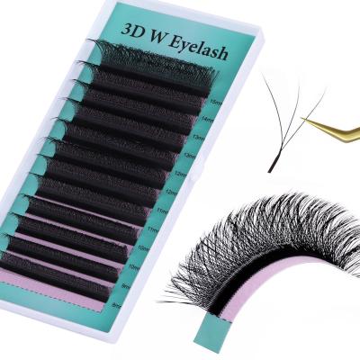 China Shape Volume Eyelashes Extension Individual False Eyelashes W Lash 3d 5d 6d Clover Lashes Private Label for sale