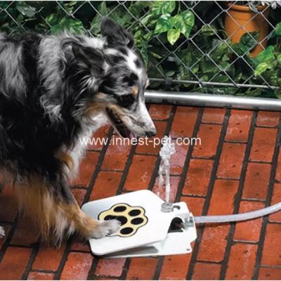 China pet shop accessories dog automatic drinker for sale