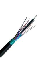 China 2 Core 4 Core Multimode Fiber Optic Drop Cable FTTH LSZH 5.2x2.0mm for sale