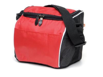 China cooler bag for 12 cans with two handles at competitive price factory