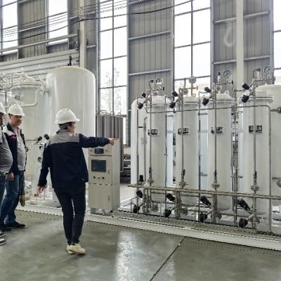 China Plug and Play Installation Pressure Swing Adsorption Oxygen Plant for sale