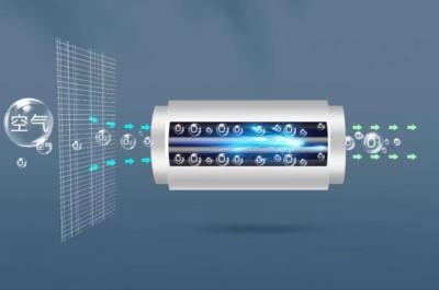 Cina OEM 110v Generatori di ozono portatili Ozonatore 10g/h-20g/h in vendita