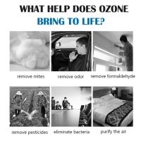 China Mobile Ozonizer Machine Vehicle Ozone Generator Continuous Flow for sale