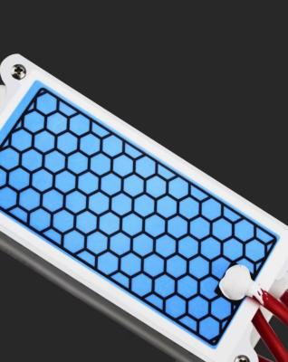 Cina 220V Enerzen Commercial Ceramic Ozone Plate Sostituzione in vendita