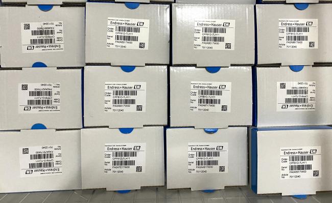 Endress+Hauser CPF81E Digital pH Sensor