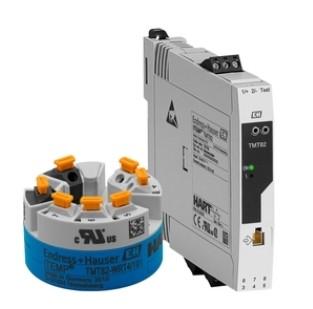 dual input temperature controller